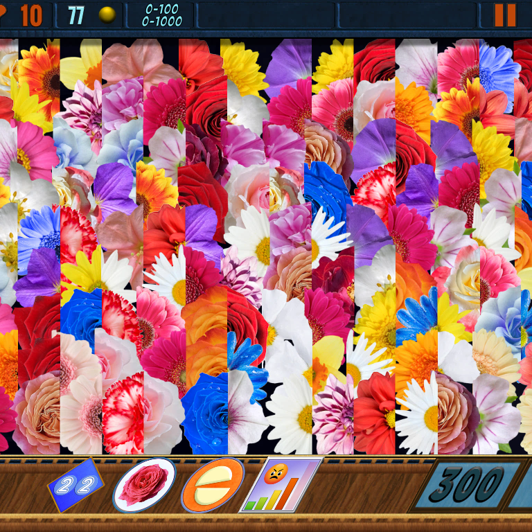 Clutter 1000 - Puzzles By Joe