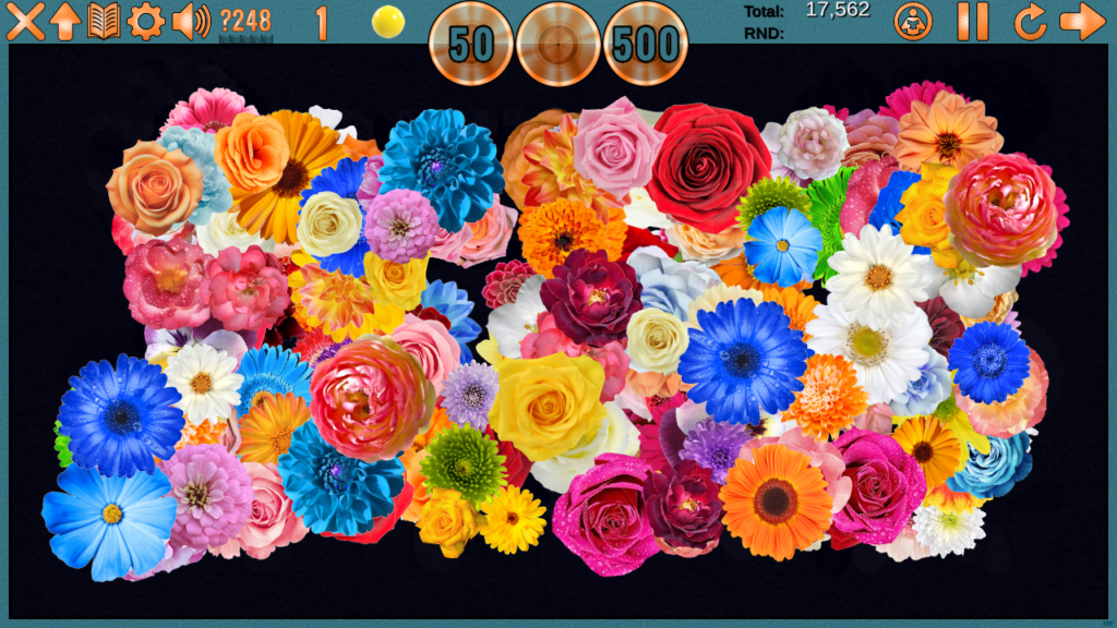 Clutter 17: Flower Power | Puzzles By Joe