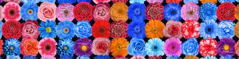 Welcome: [puzzlesbyjoe.com]