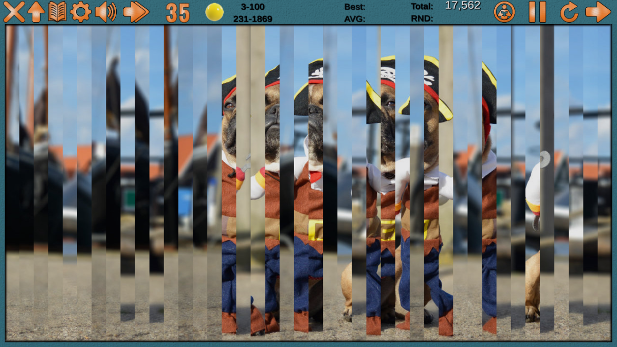 Clutter 17: Flower Power | Puzzles By Joe