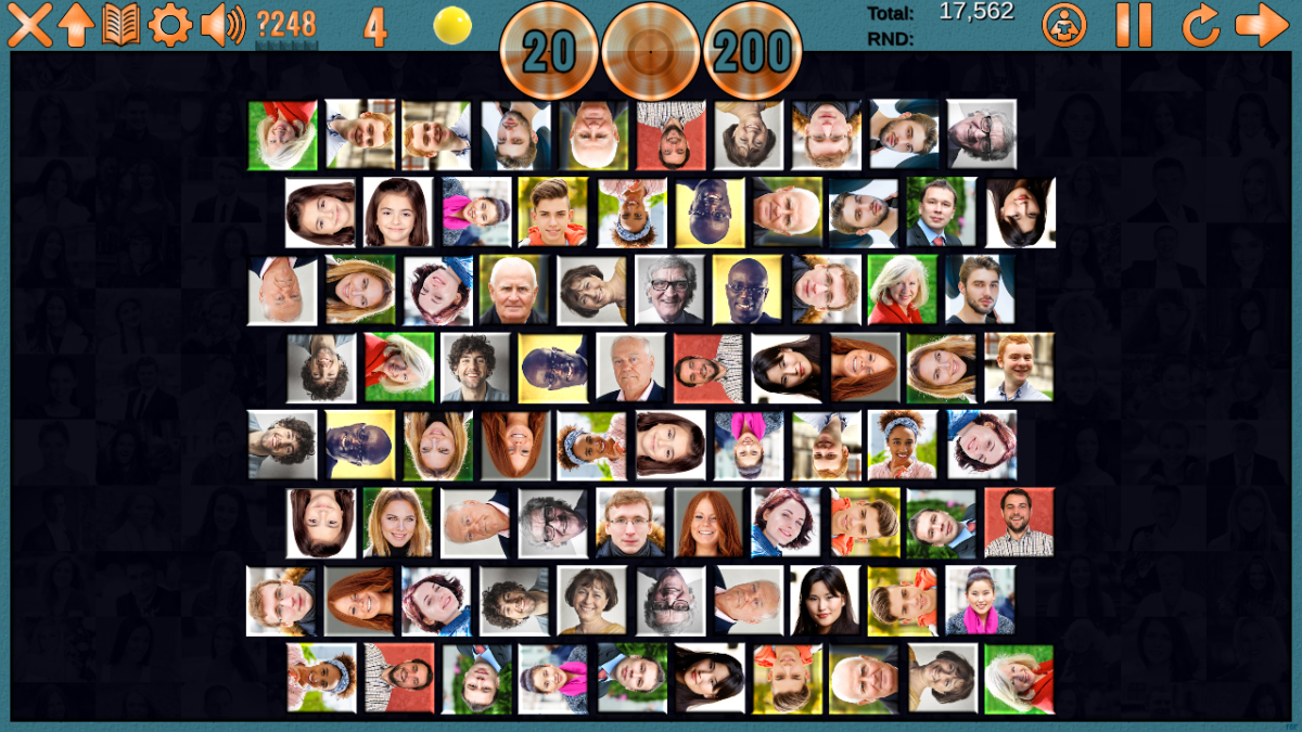 Clutter 17: Flower Power | Puzzles By Joe