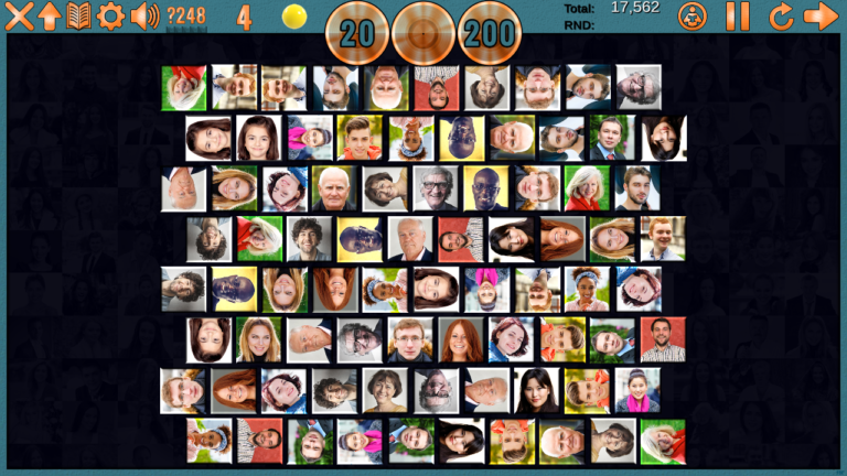 Clutter 17: Flower Power | Puzzles By Joe